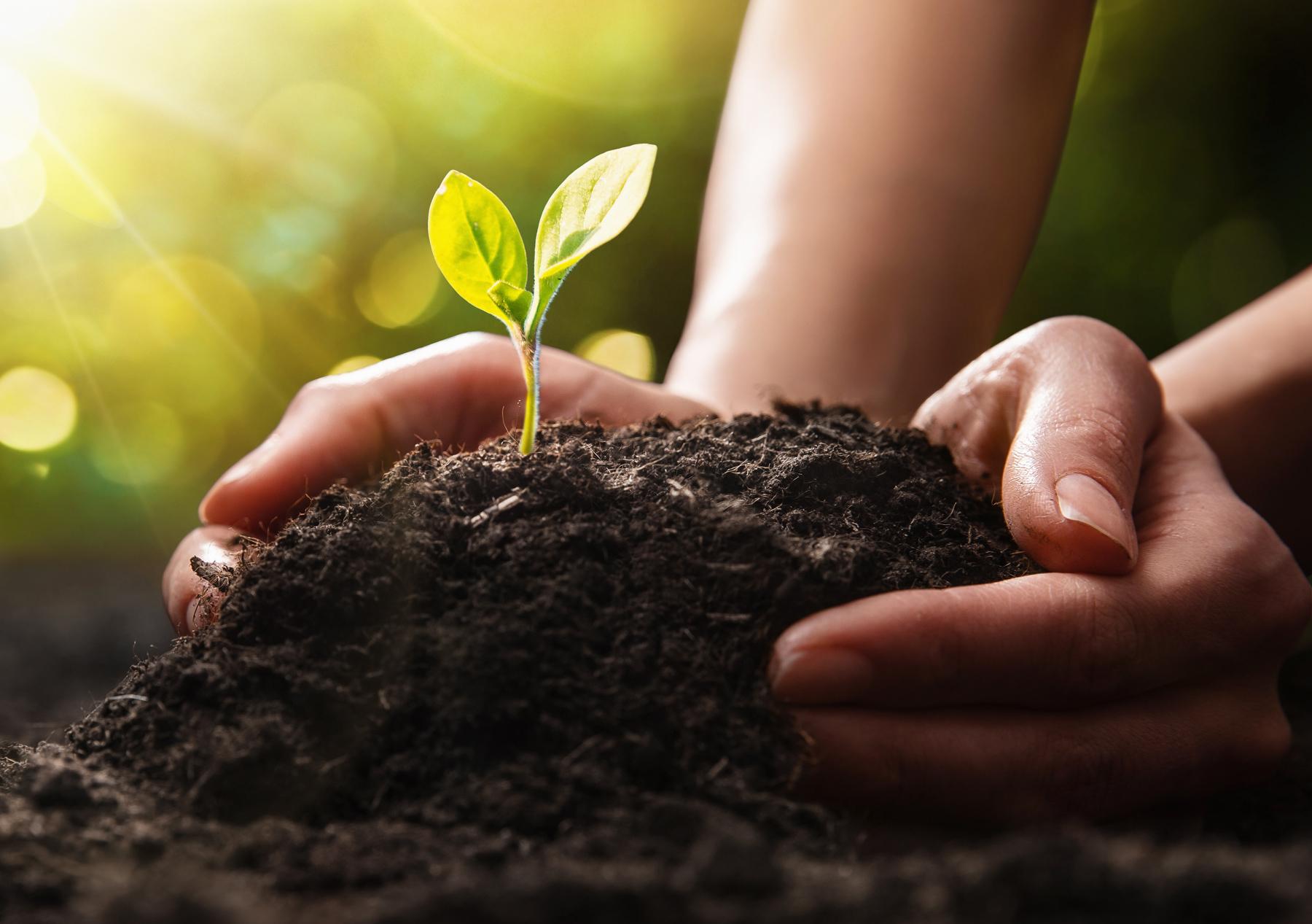 Quality & Environment